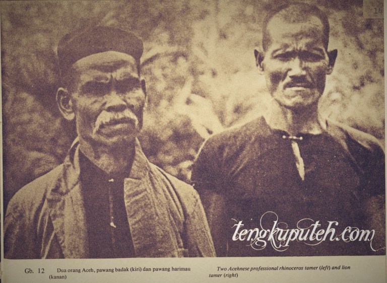 ACEHNESE IN SUMATRAN HISTORY | Tengkuputeh